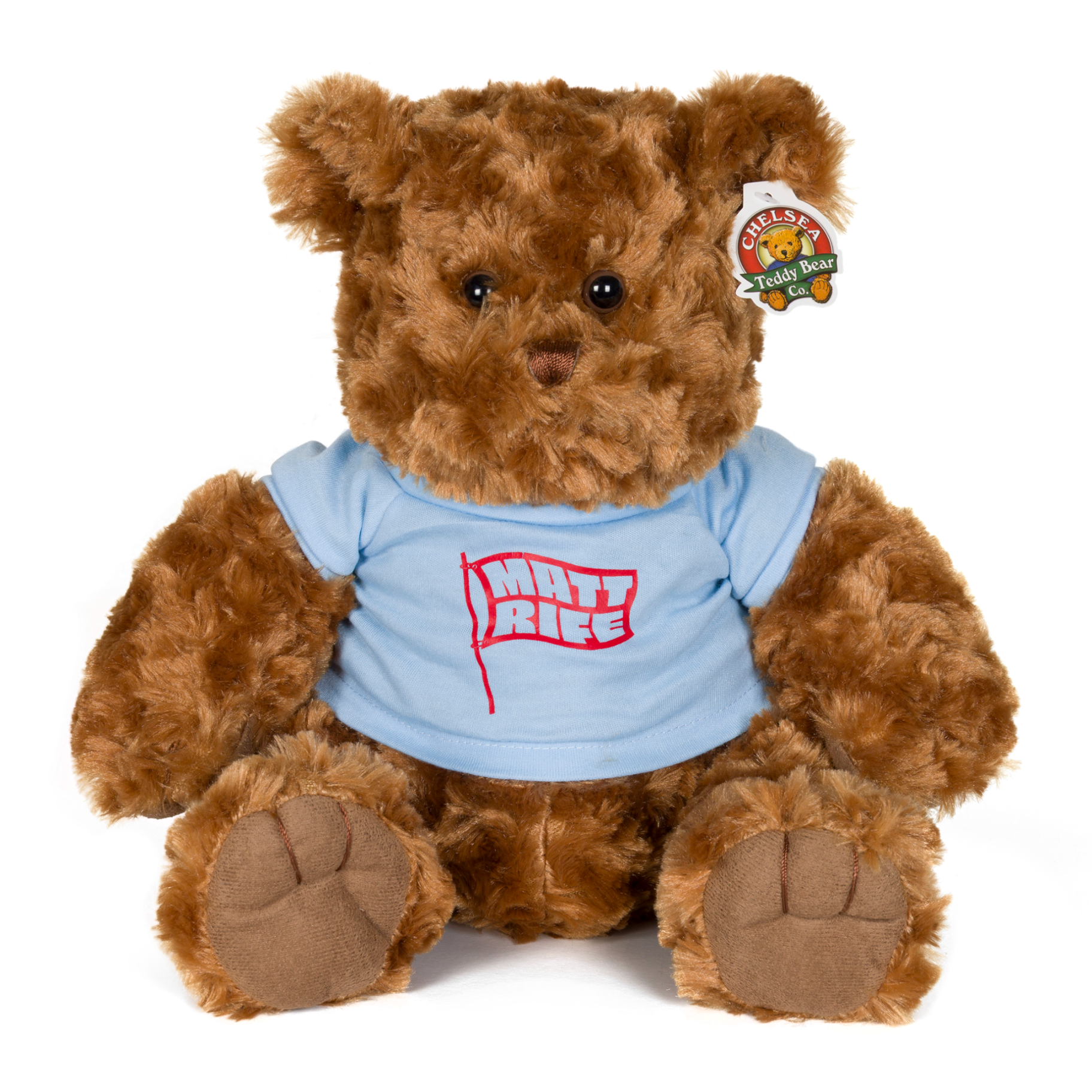Teddy Bear - Blue Shirt